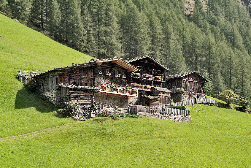 Südtiroler Landwirtschaft: Zukunft der Familienbetriebe | Geier